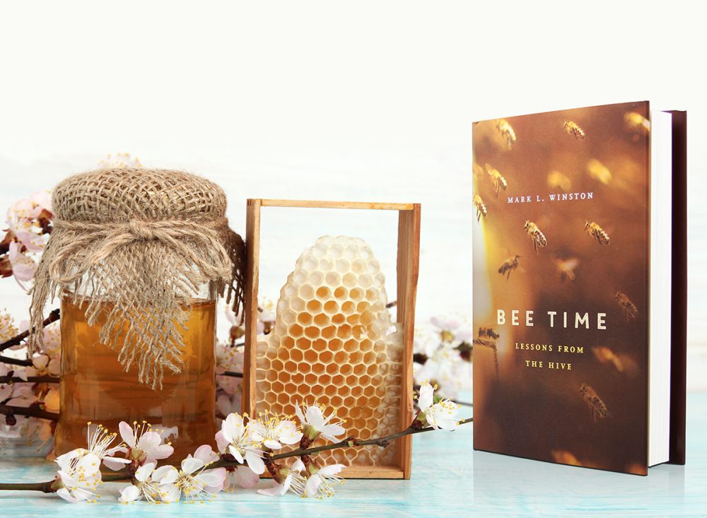 Royal Bee Honey Carts • Royal Bee